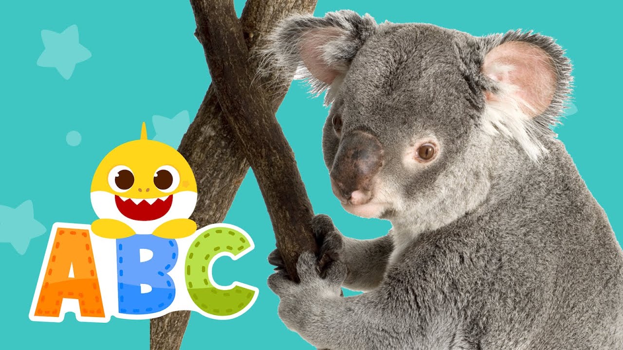 Learn ABCs with Baby Shark | Learn Animals | ABC Song | Baby Shark ABC ...