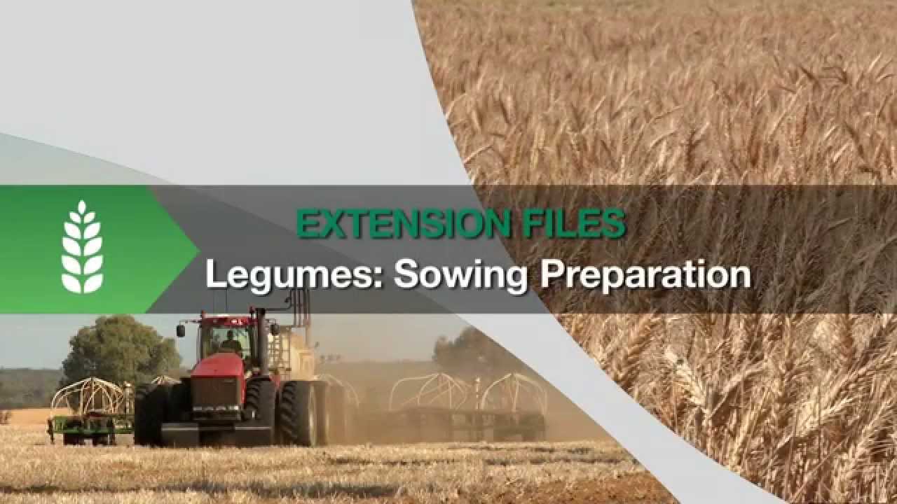 GCTV13: Legumes - Sowing Preparation - YouTube