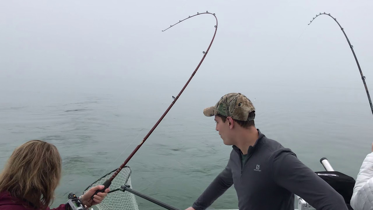 King Salmon Triple Header Catch & Release on Rochester Sport Fishing ...