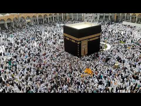 Karınca Duası - Bol Rızık ve Bereket için Dua 41 Tekrar