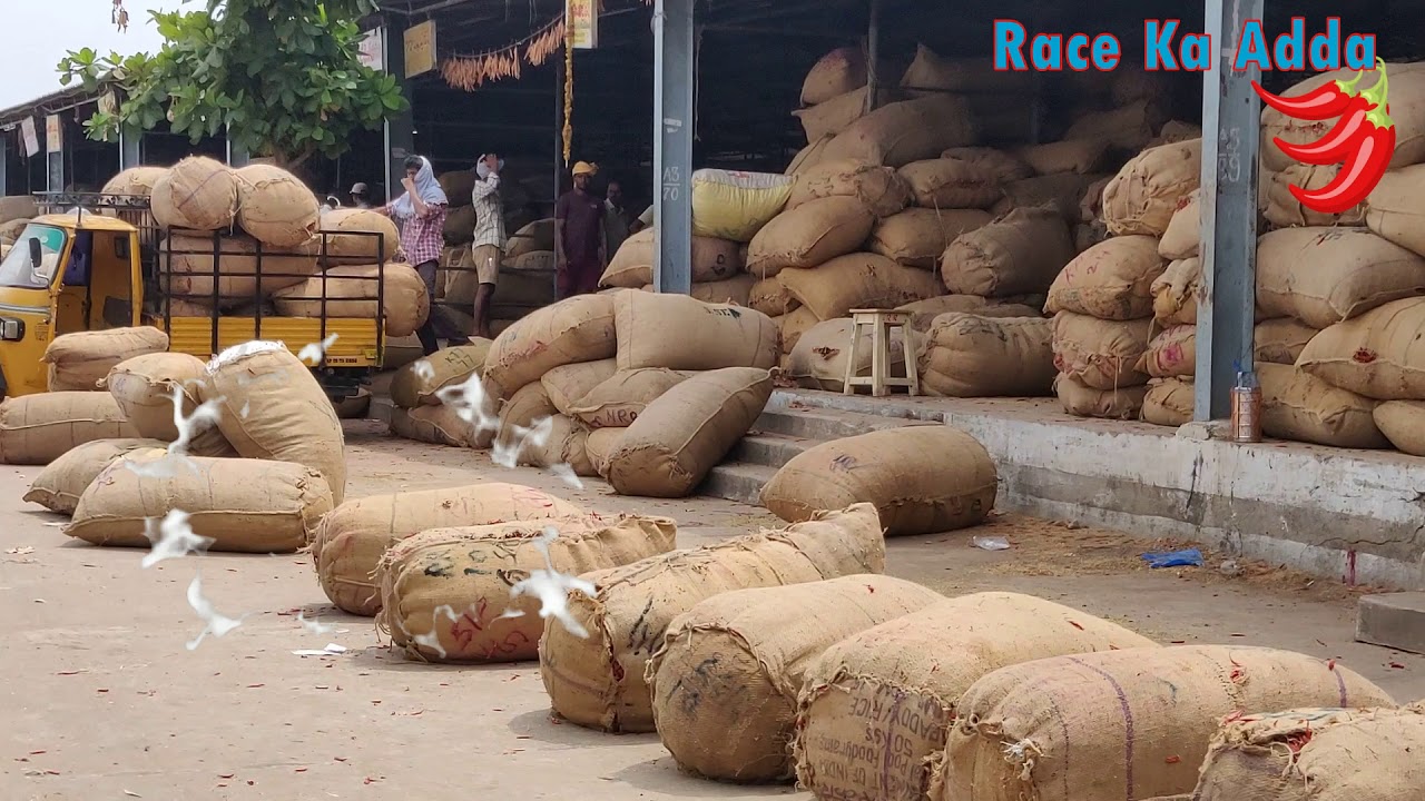 Asia Largest And Biggest Red Chilli Market Guntur | Guntur Mirchi Yard ...