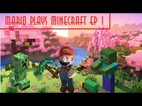 Mario plays Minecraft EP 1 Farming Fantasy - YouTube