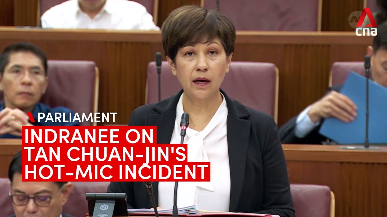 Leader of the House Indranee Rajah on how parliament has dealt with Tan ...