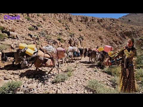 Nomads Cross Pathless Mountains: Nomadic Lifestyle of Chavil - Iran ...