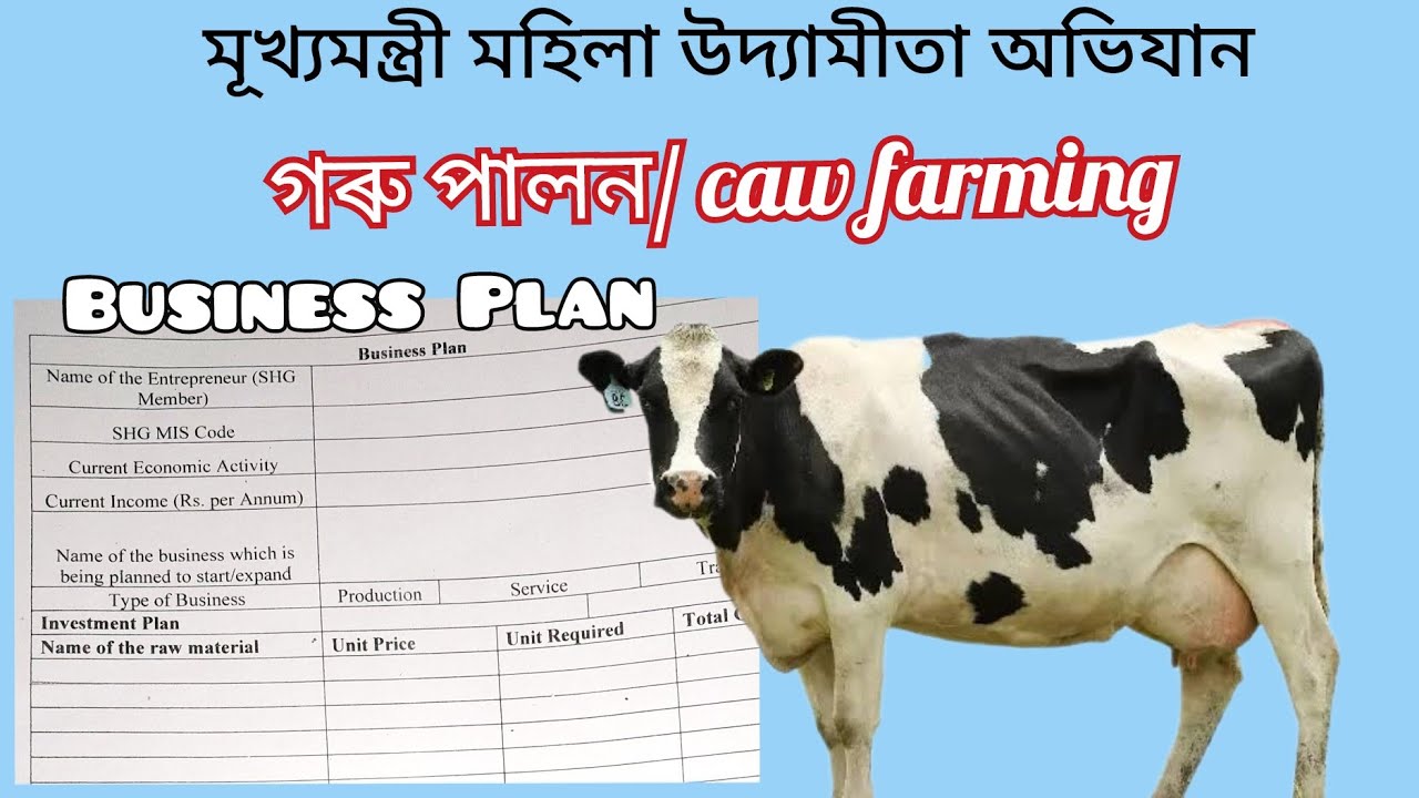 Business plan গৰু পালন // business plan cow farming form fill up ...