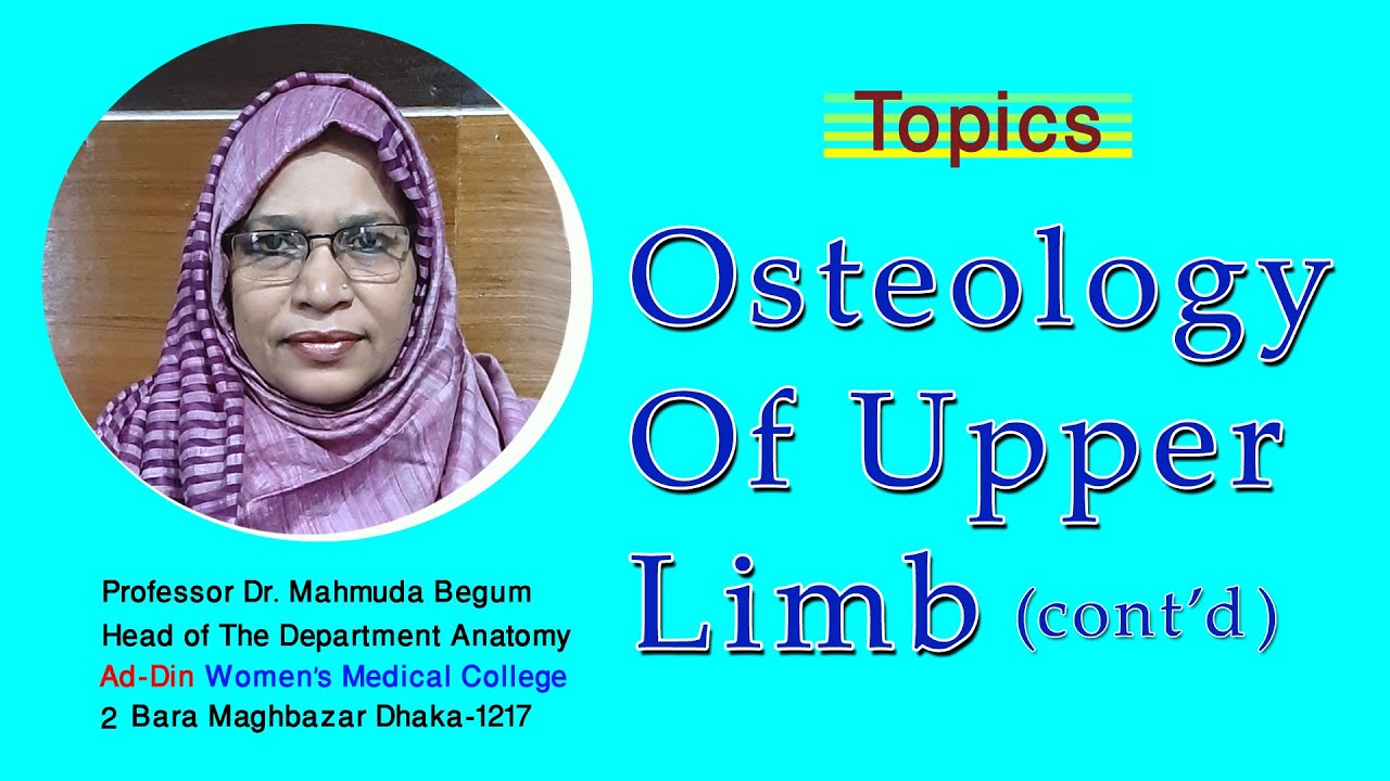 Osteology of Upper Limb (cont'd), Dr. Mahmuda Begum, Anatomy, AWMC ...