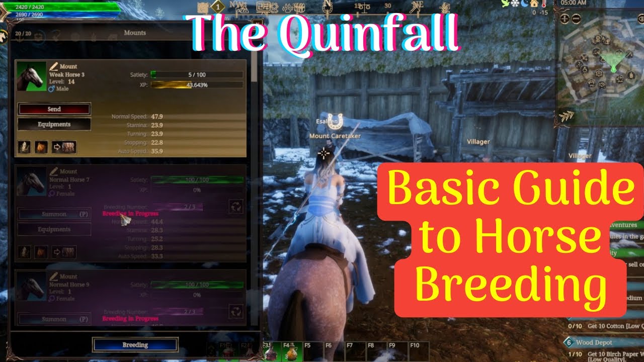 The Quinfall - Basic Guide to Horse Breeding - YouTube