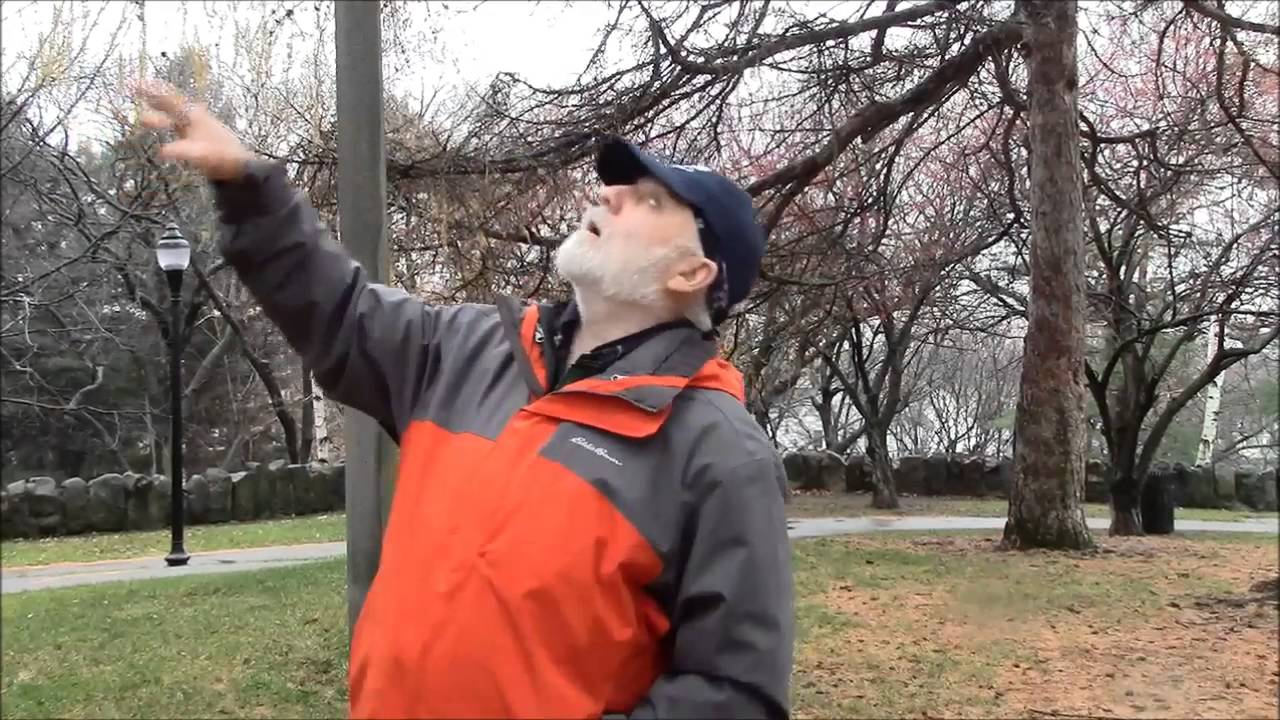 The Powder Alarm and the Militia - YouTube