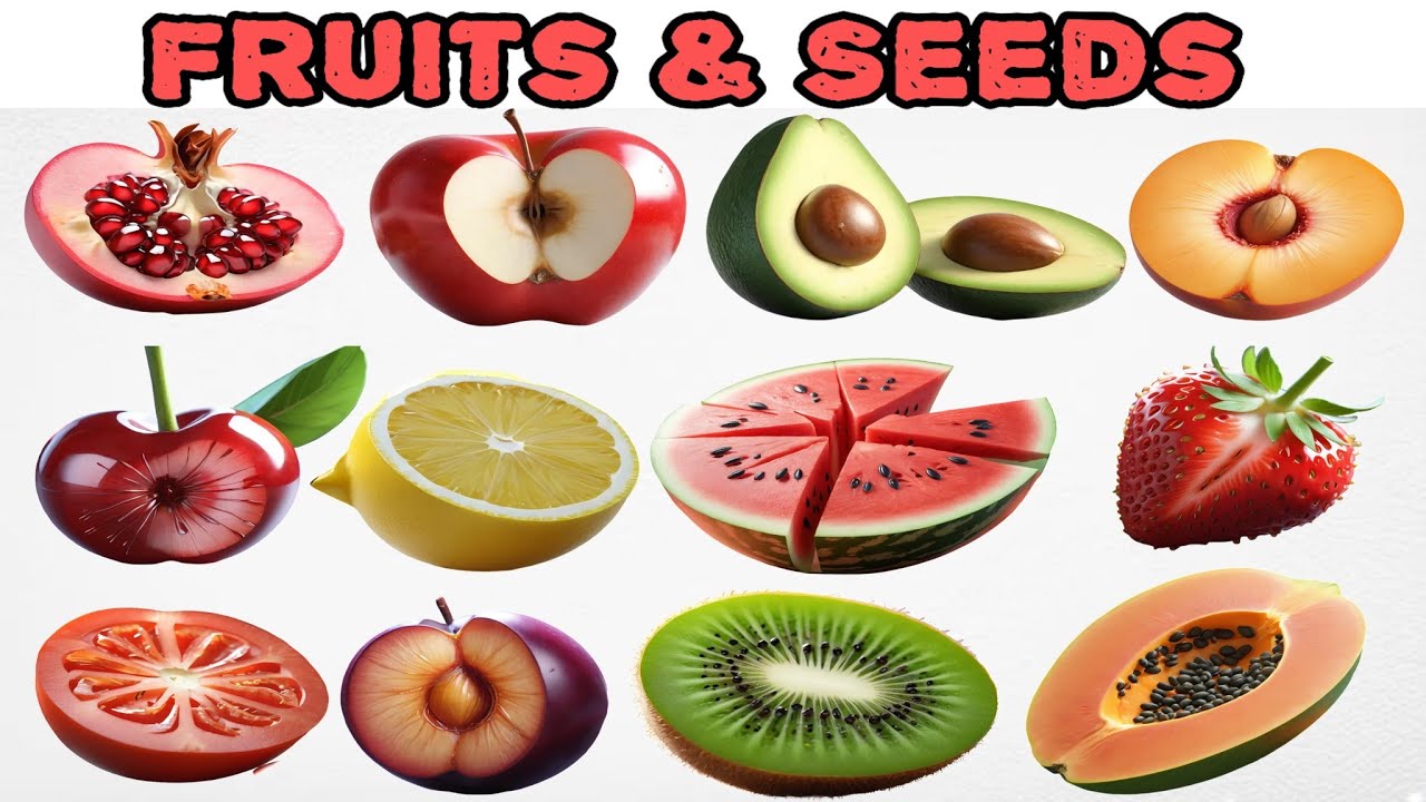 FRUITS BY THEIR SEEDS | Fruits and seeds | Fruits Vocabulary learning ...