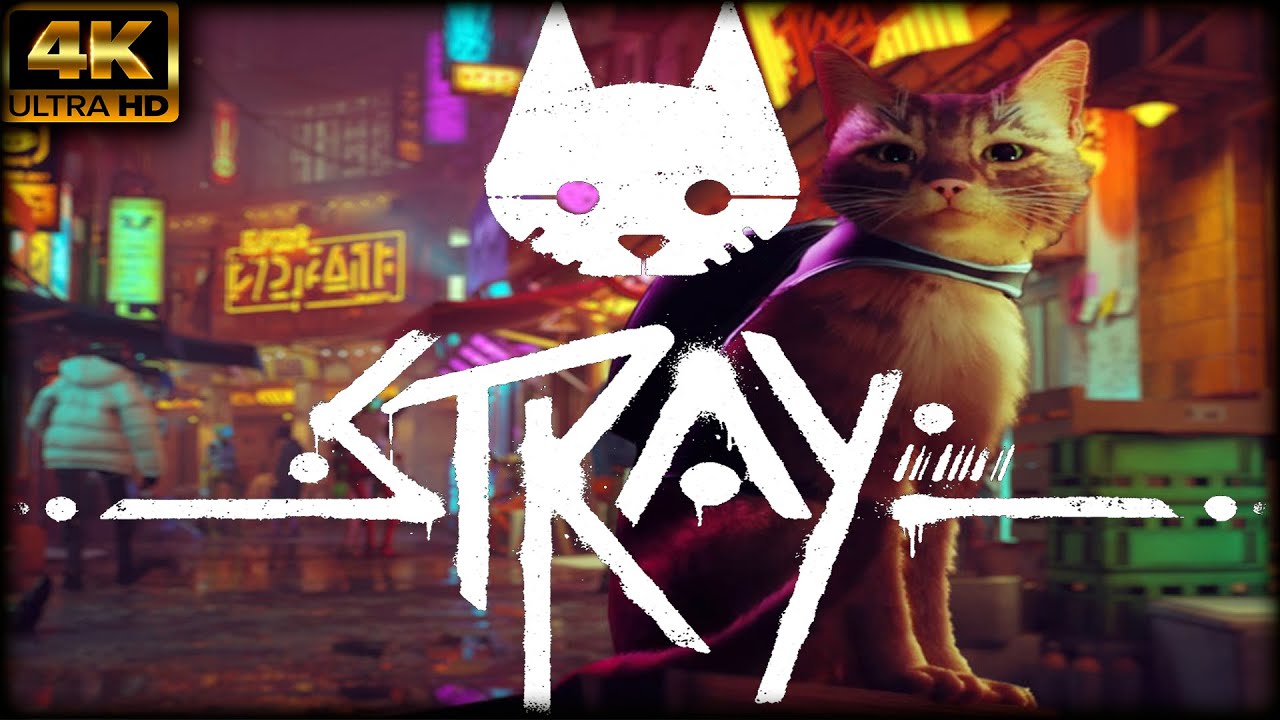 ПОЛНОЕ ПРОХОЖДЕНИЕ STRAY 2022 - С НИЗОВ ФИНАЛ - YouTube