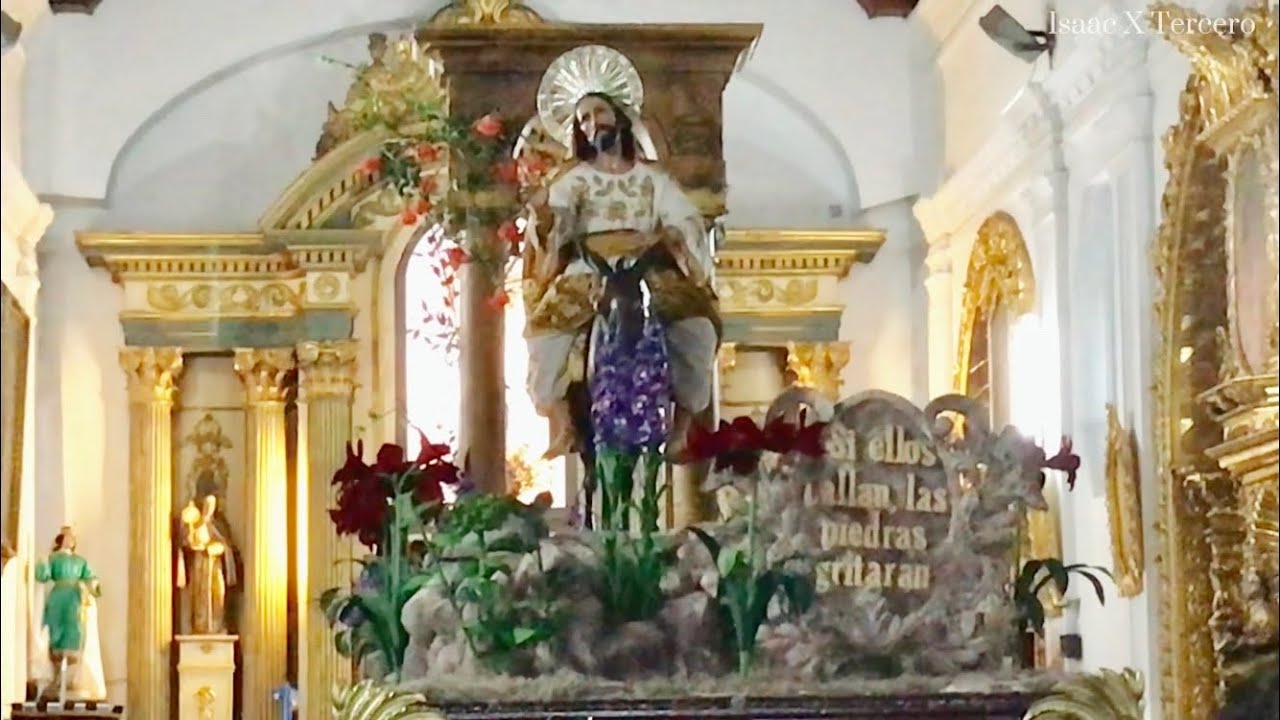 EL NÚMERO CINCO || Festiva procesión de Jesús de las Palmas ~ Domingo ...