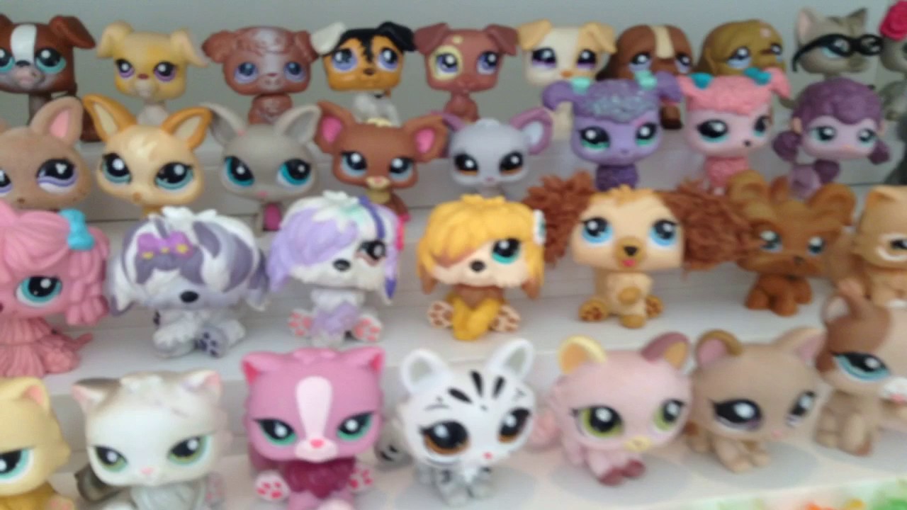 #1 OMG LPS Shelves - YouTube