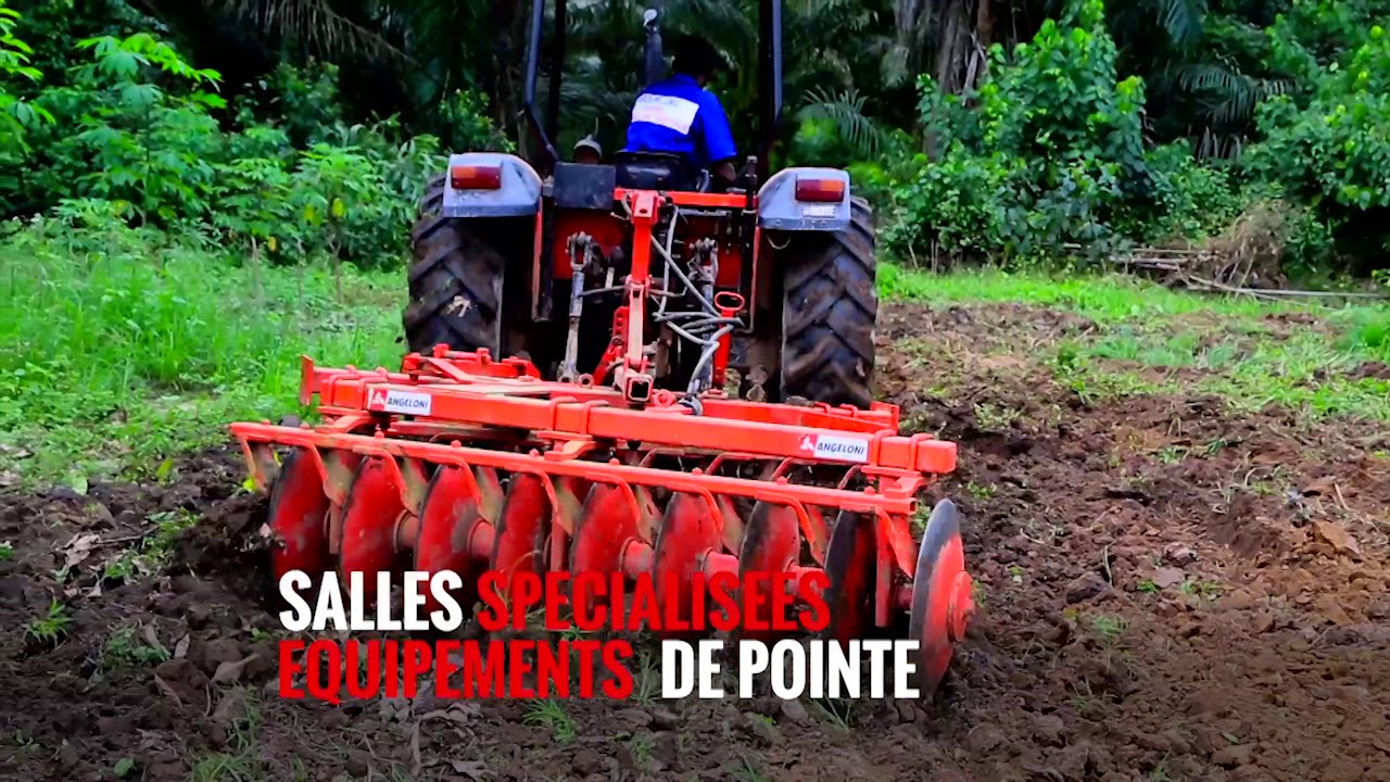SPOT LOKO 60 ANS 2016 - YouTube