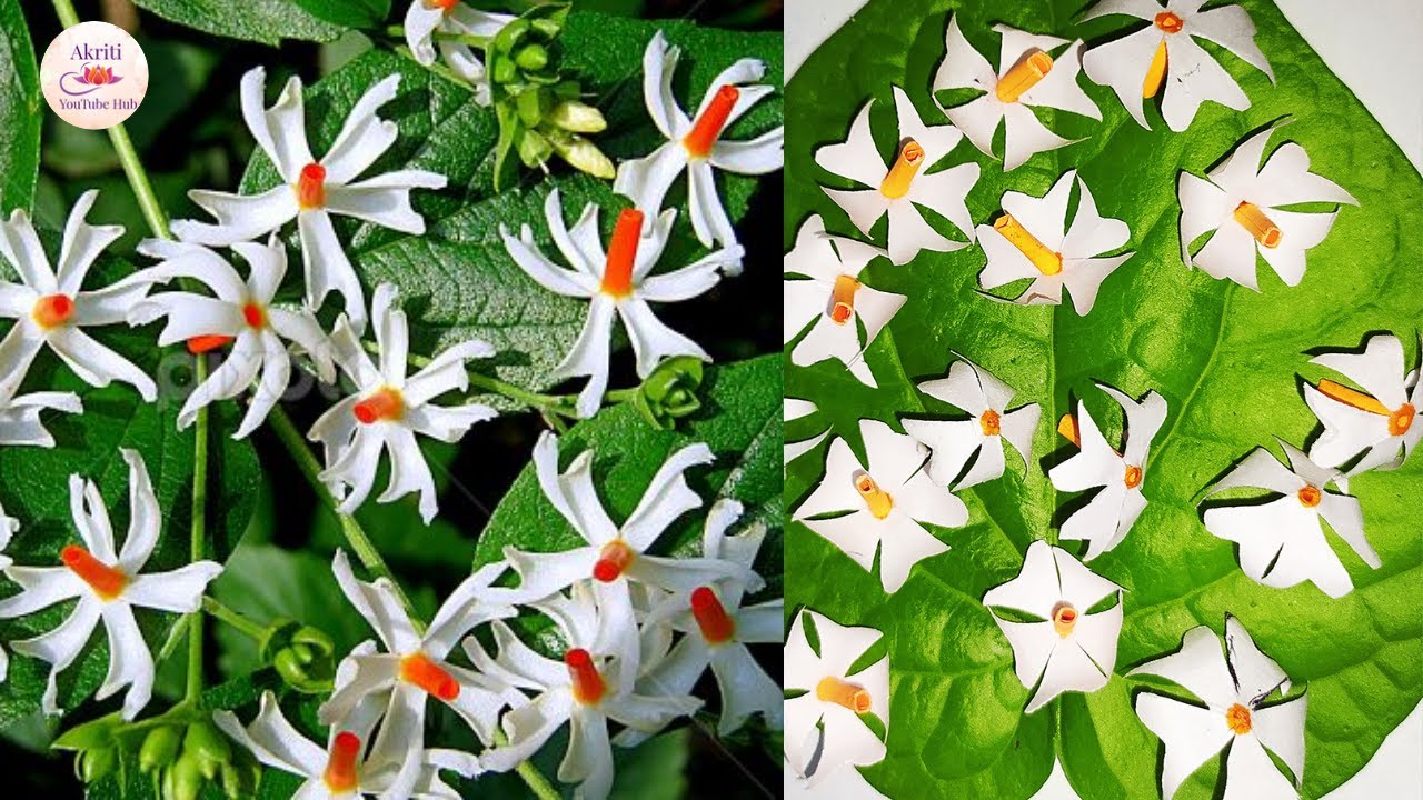 How to make Parijat Paper Flowers|Parijat Flower|Paper Night Jasmine ...
