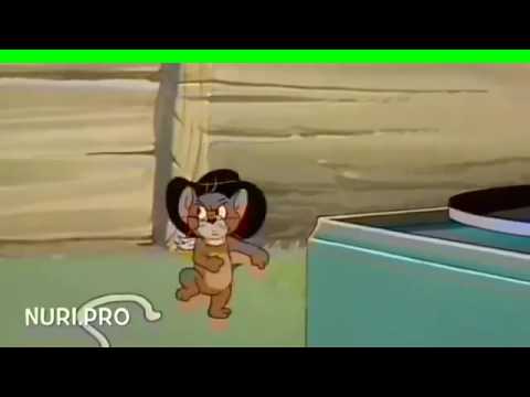 Komik video klip azerbaycan