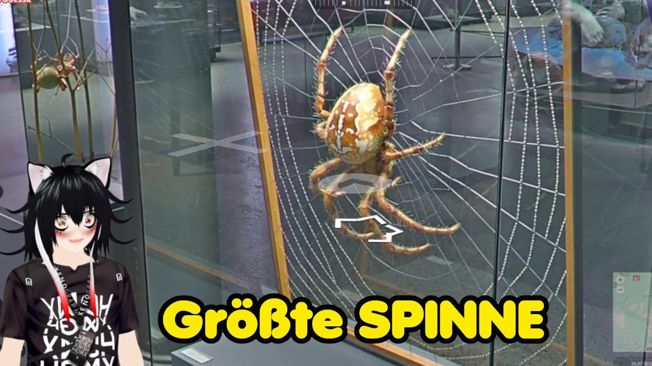 Größte Spinne der Welt - GeoGuessr | #28 - YouTube