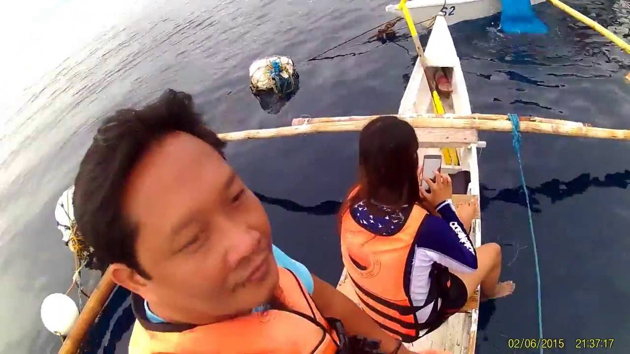 Whale Shark Watching In Tan-awan Oslob Cebu | Cebu Philippines Travel ...