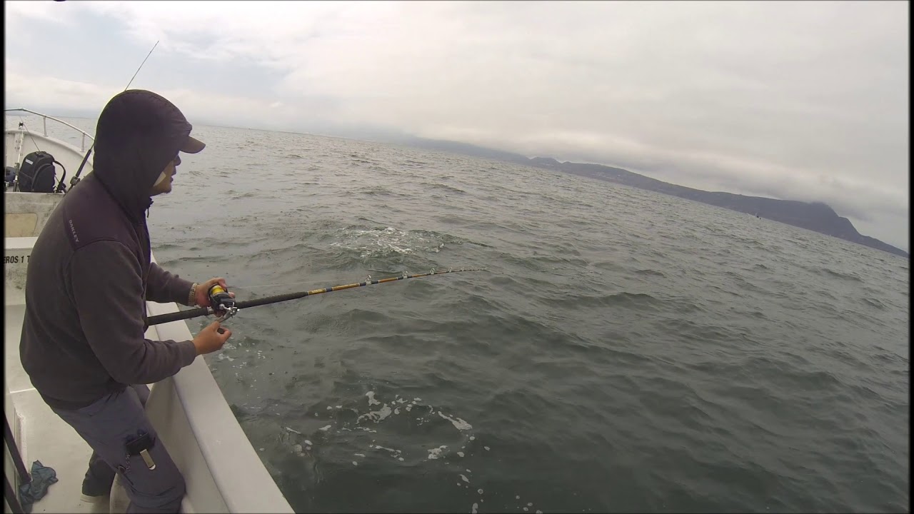 Yellow Tail Fishing Ensenada 6-18 - YouTube