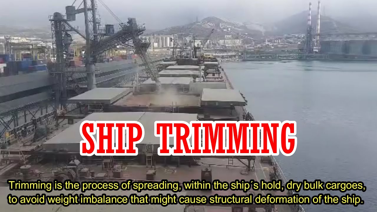SHIP DRY CARGOES TRIMMING - YouTube