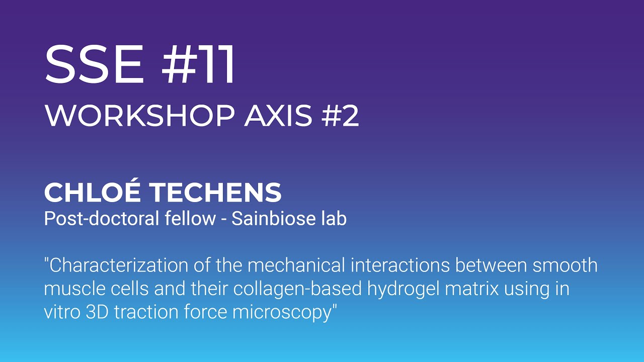 SSE 11 - Workshop Axis 2 - Chloé Techens - YouTube