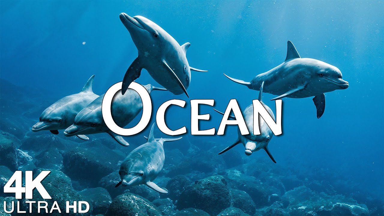 Ocean 4K ( Ultra HD ) - Relaxing Music Along with Peaceful Relaxing ...