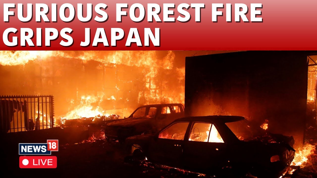 Japan Wildfire LIVE | Japan Forest Fire Forces Thousands To Evacuate ...