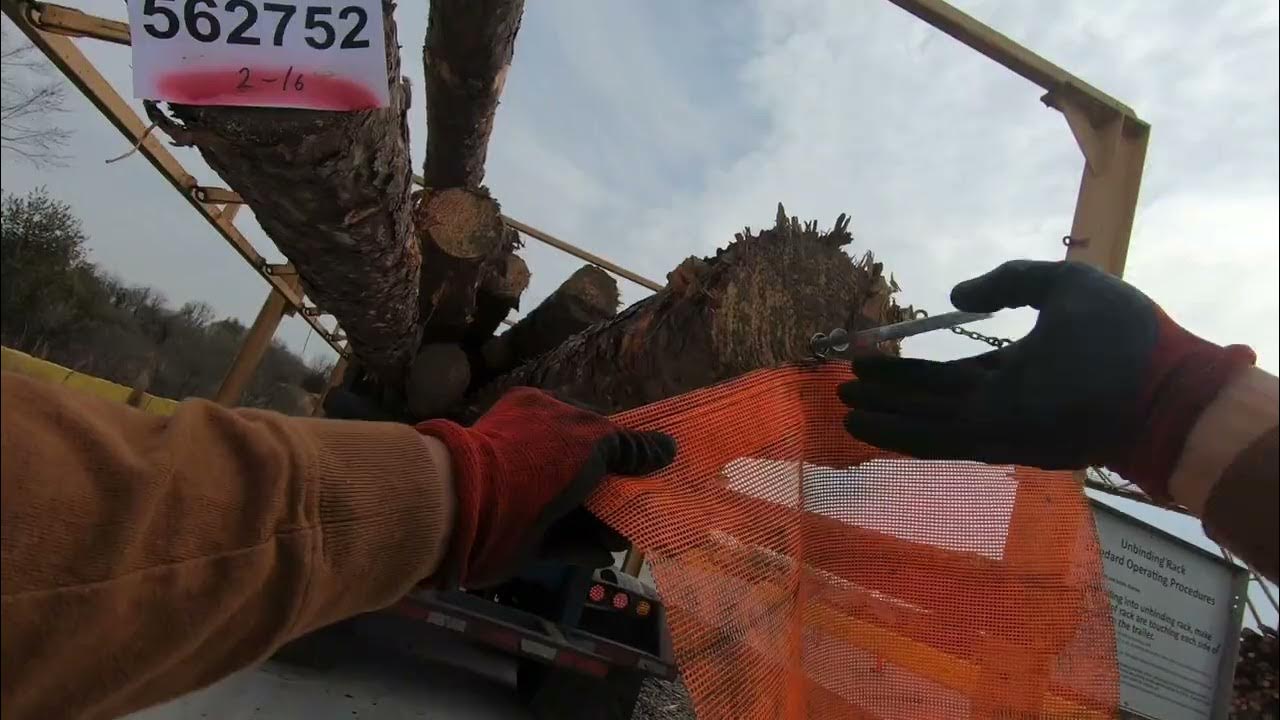 A day of Logging in NC - YouTube