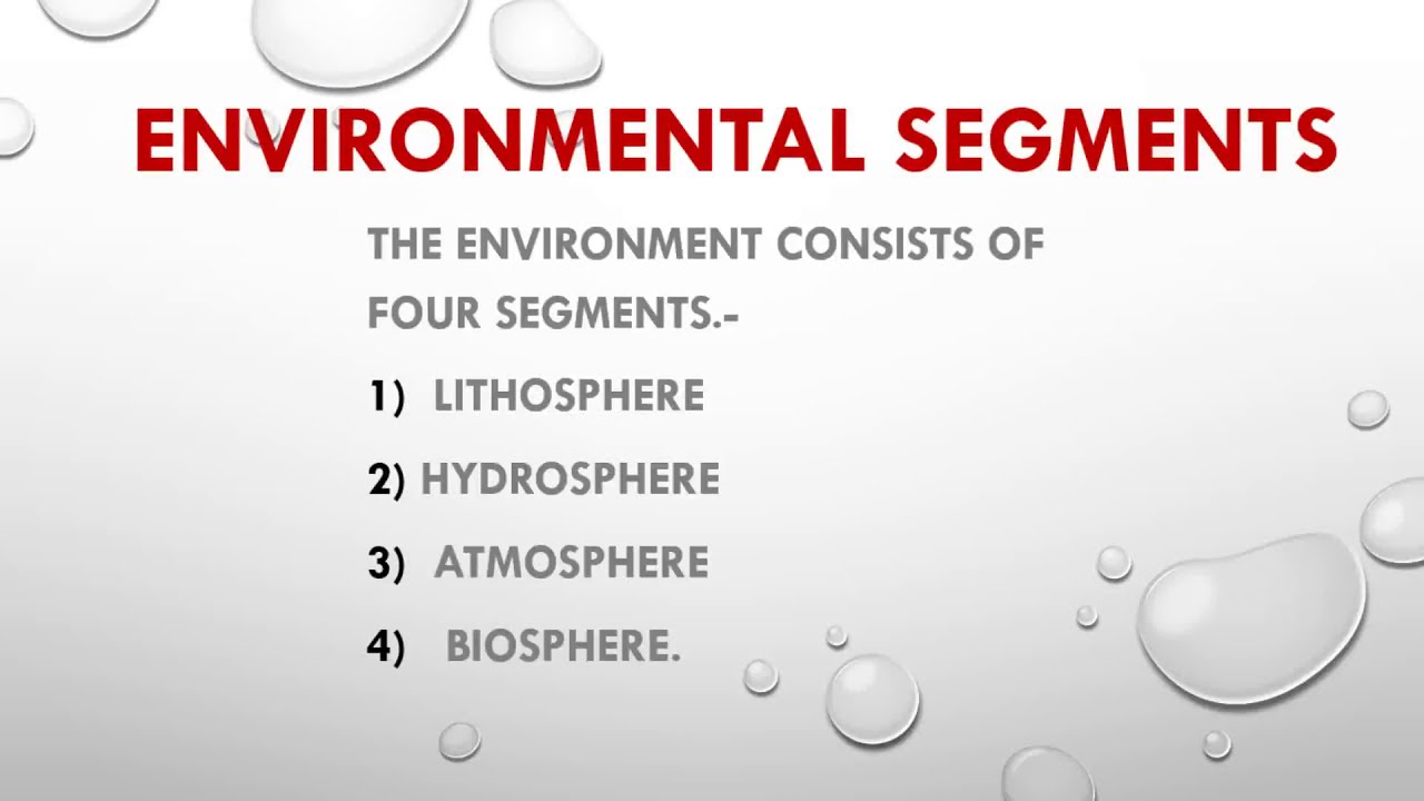 Environmental segments notes-- PDF in description 👇👇 - YouTube