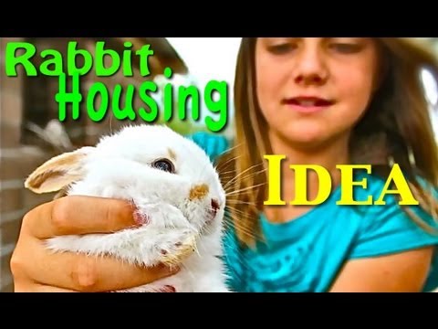 Rabbit Housing Idea - Build a Homemade Hutch filled with Dirt (Natural ...