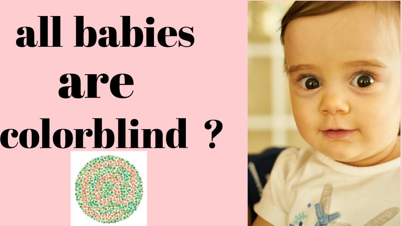 All babies are colorblind?|| 5 eye facts - YouTube
