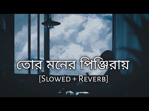 Tor Moner Pinjiray | Jisan Khan Shuvo | Slowed And Reverb | Bengali Lofi | 10 PM BENGALI LOFI