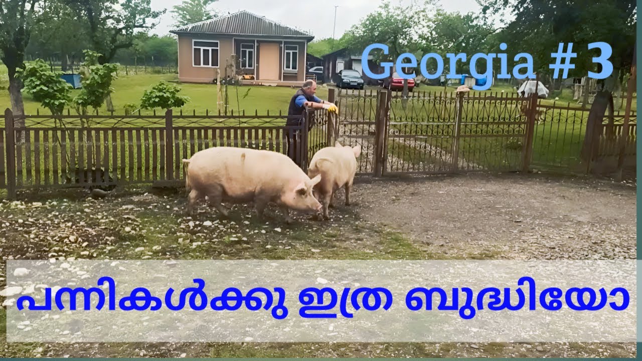 Georgia #e2 - YouTube