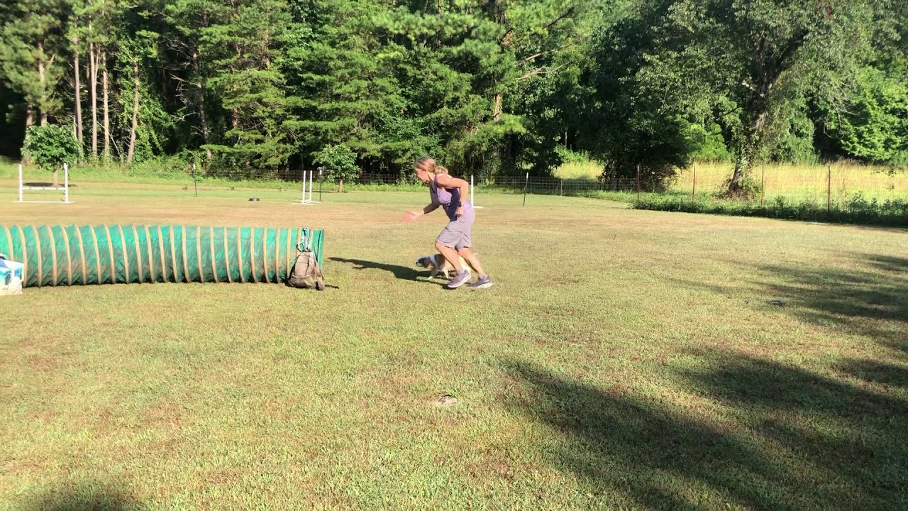 Emmy Elite TnG Blake - YouTube