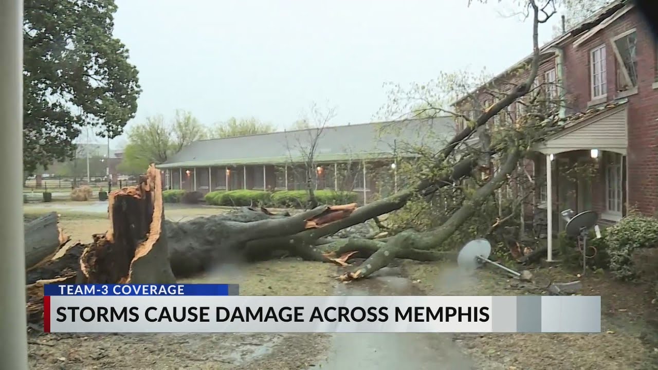 Storms cause damage across Memphis - YouTube