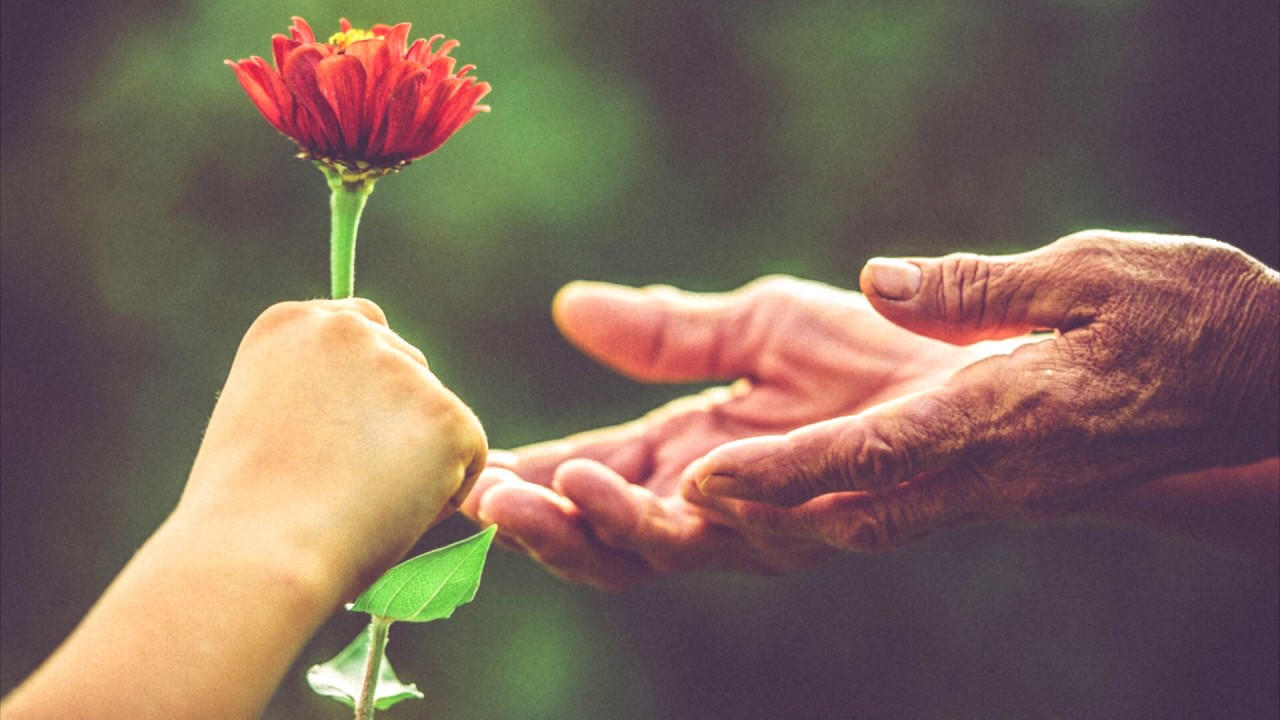 HANK SNOW - These Hands - YouTube