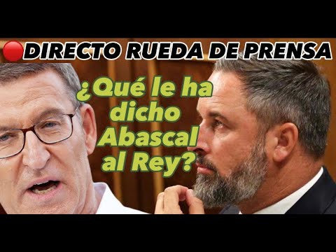 Abascal tras reunirse con el Rey - YouTube