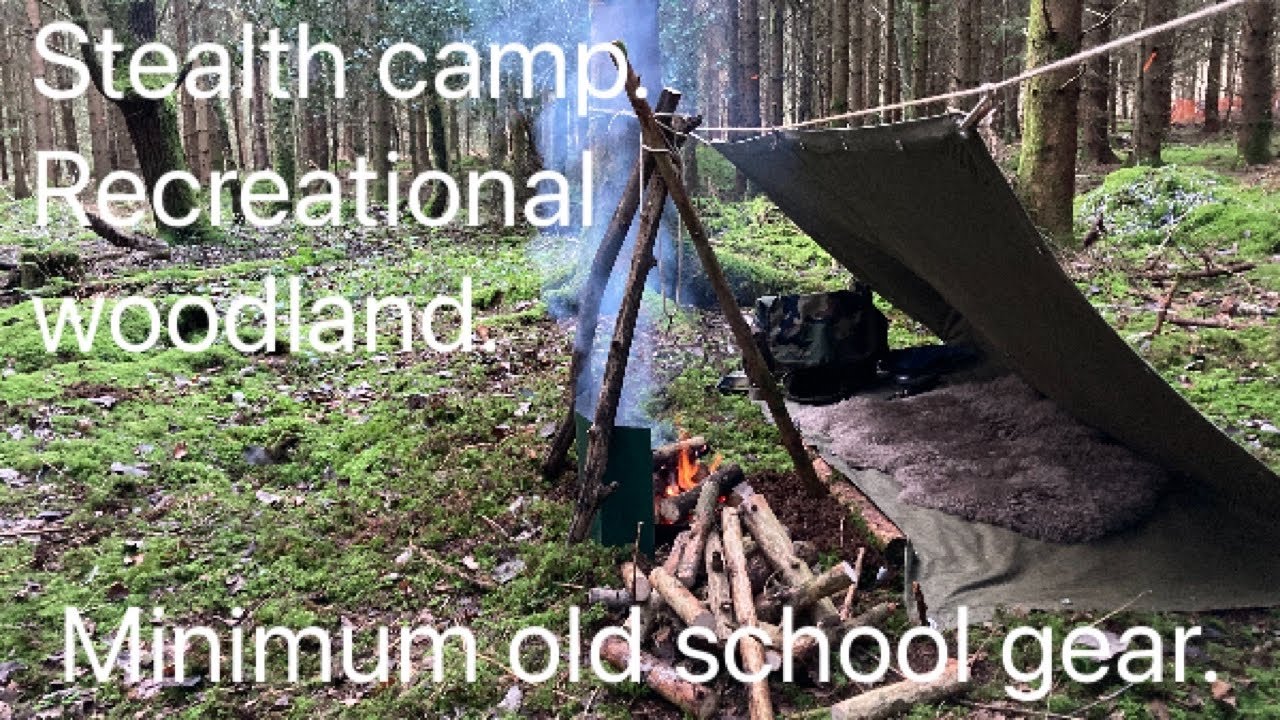 Recreational woodland wild camp. - YouTube