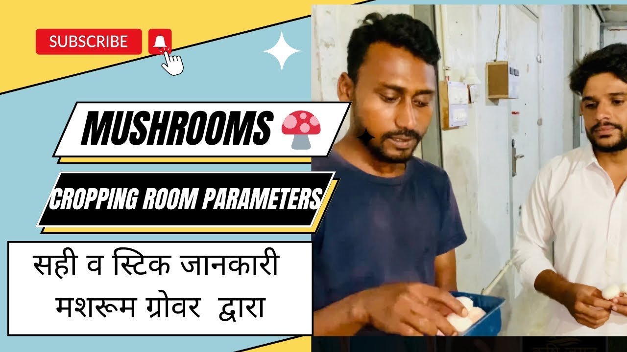 AC Mushroom🍄cropping room how to grow mushrooms #mushrooms - YouTube