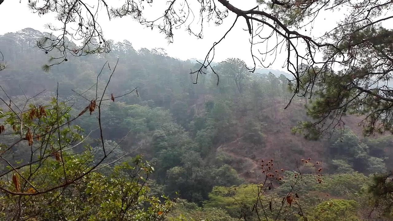 santa cruz rio venado - YouTube