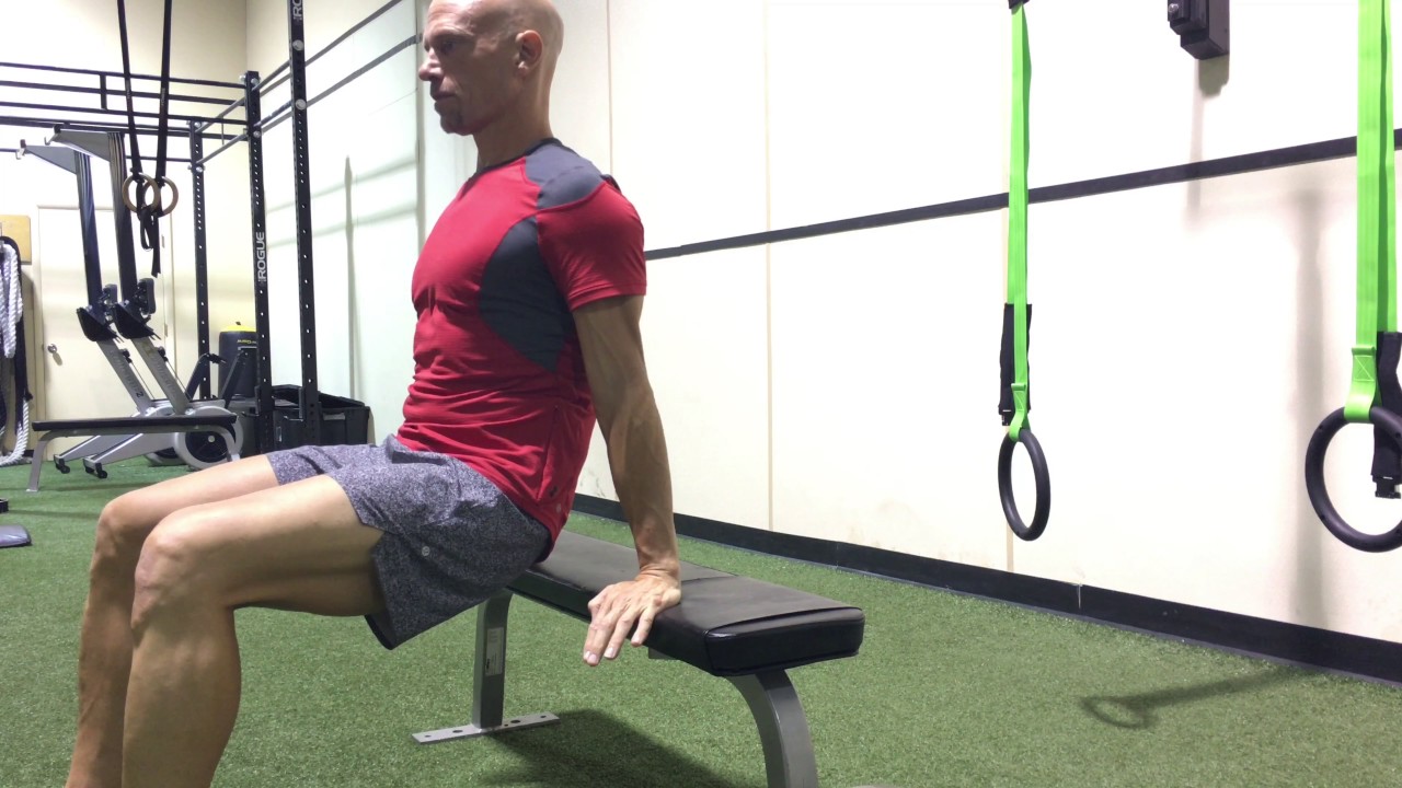Scapula Dips - YouTube