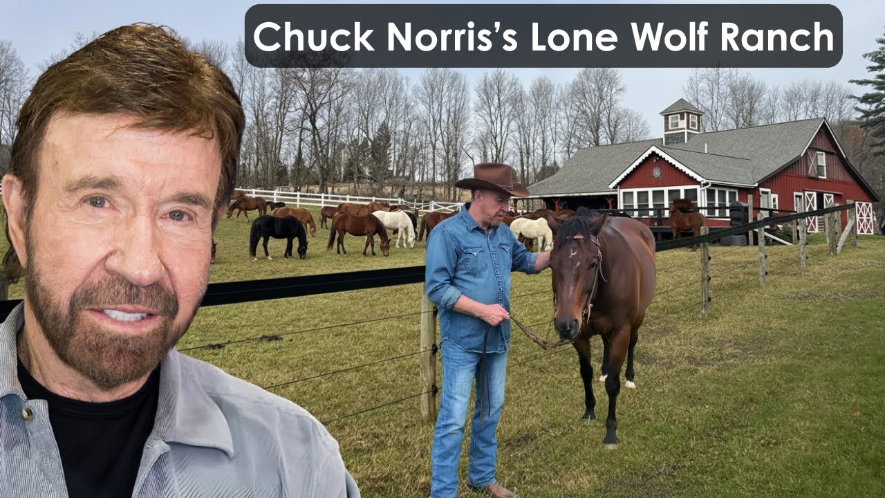 Chuck Norris’s Lone Wolf Ranch – The Action Legend’s Real Country ...