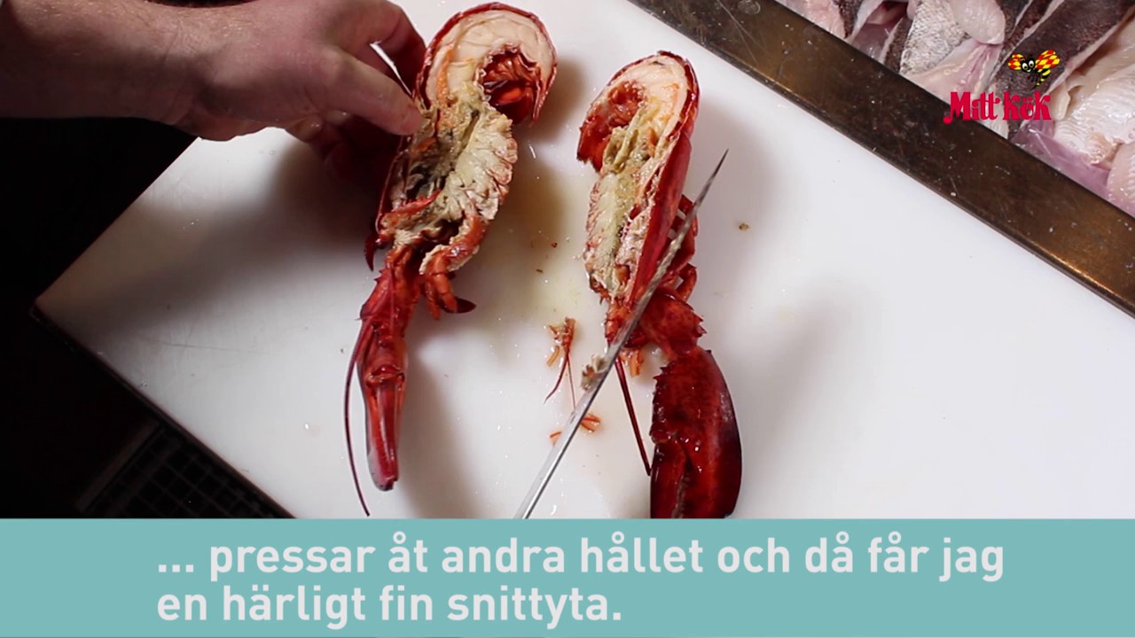 Så här delar du en hummer - YouTube