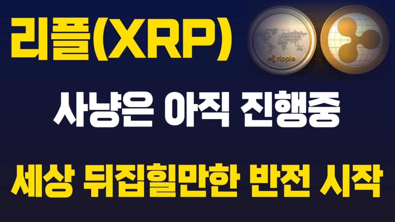 리플 사냥은 아직 진행중입니다 지금부터 이거 하나만 꼭 하셔야 합니다 세상뒤집힐만한 반전의 시작 곧 나옵니다 Xrp 리플xrp 리플전망 리플단타 리플항소 리플