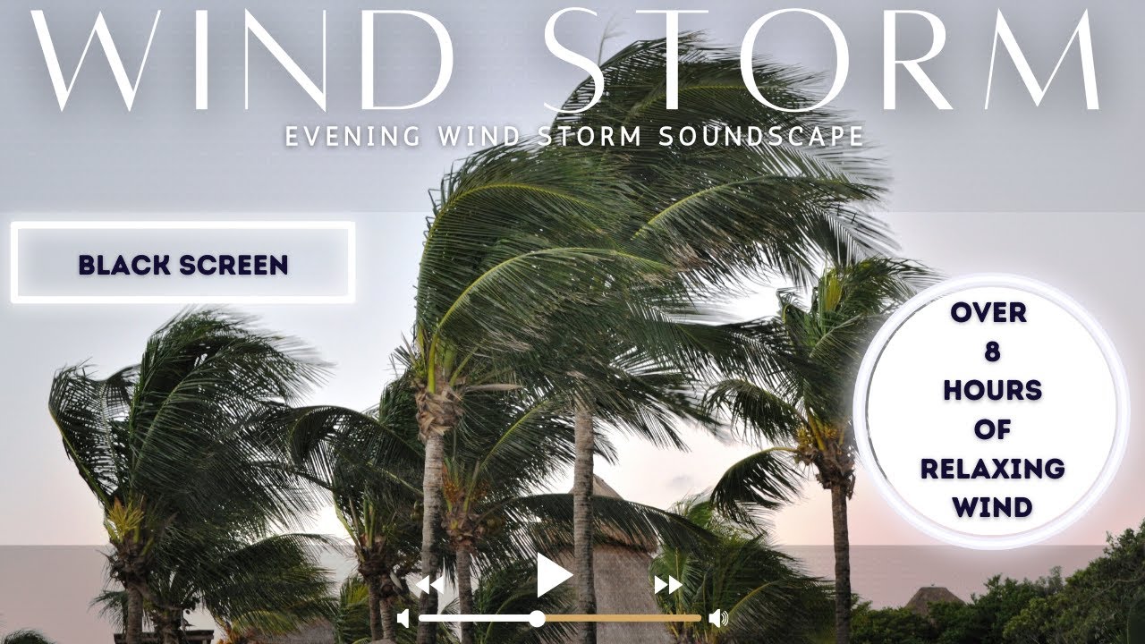 Wind Storm 8 hours of relaxing Wind gusts, creaking, white noise - YouTube