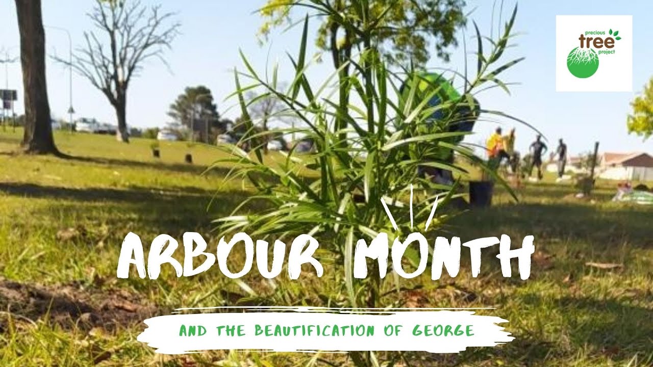 Arbour Month and the Beautification of George - YouTube