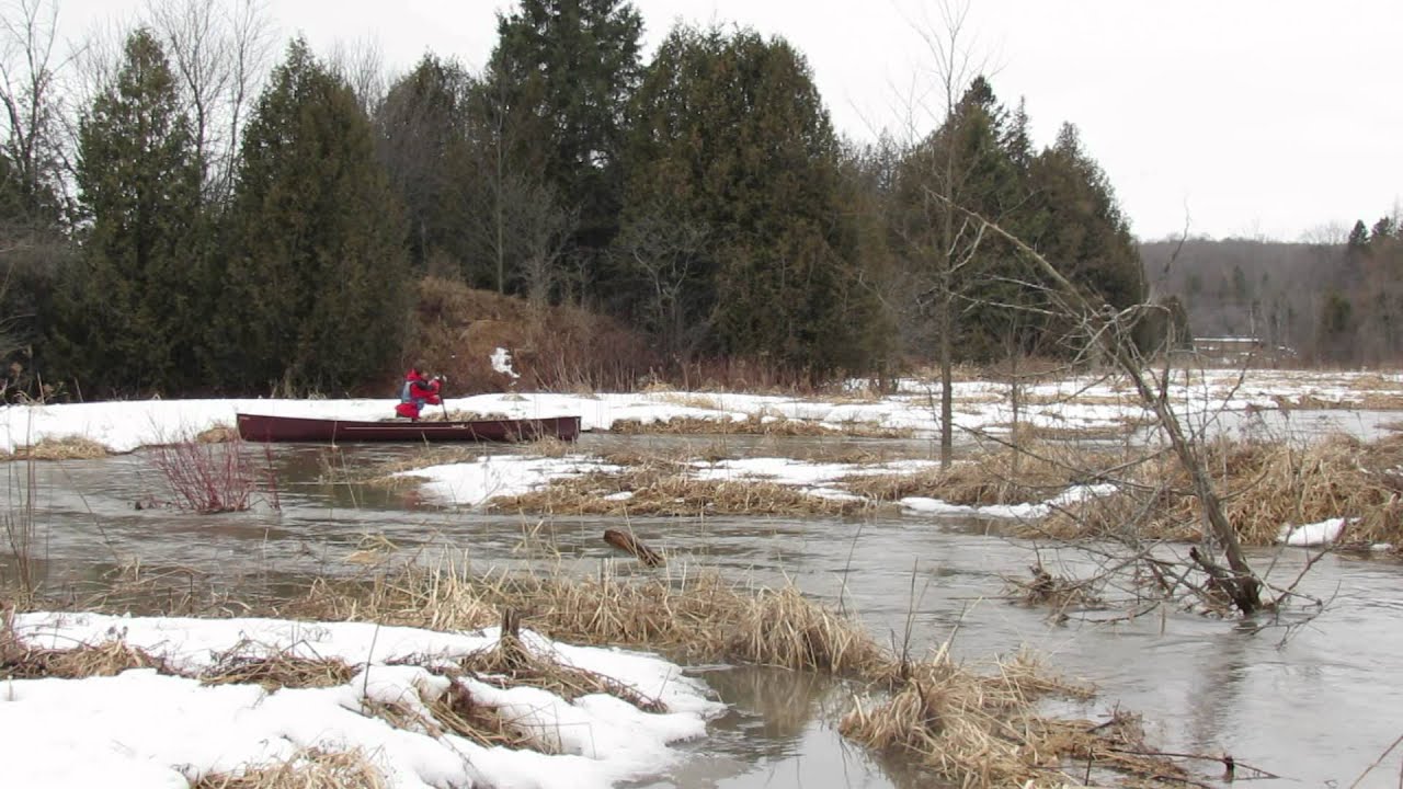 Canoeing the Coldwater River Mar 8 2012 - YouTube