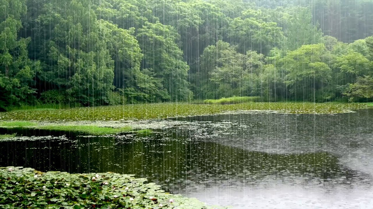 Rain on a Peaceful Lake. Relaxing Rain Sounds for Meditation and ...