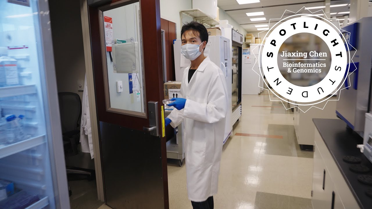 Jiaxing Chen Studies How Immune Cells Can Better Combat Cancer ...