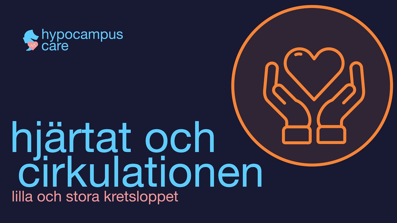 Hjärtat & cirkulationen (lilla och stora kretsloppet) - YouTube