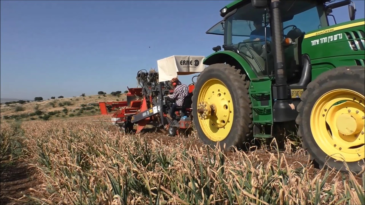 garlic harvester 2019 - YouTube